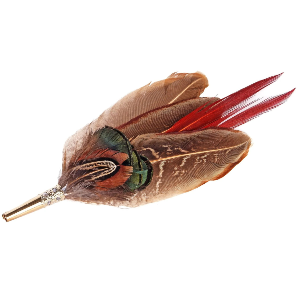 Lady Amhurst Feather Mount